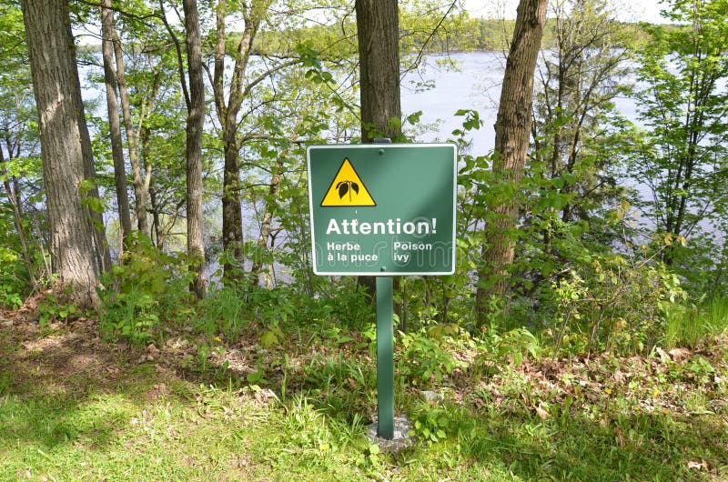 Attention Poison Ivy Sign with Trees and Water Stock Photo - Image of ...