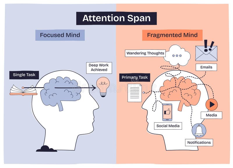 Attention Span Shows a Focused Mind Vs Fragmented Mind with ... Stock ...