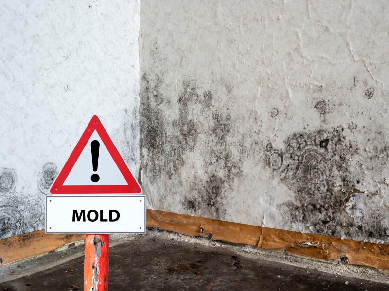 Attention Warning Sign Mold, Symbol Image Stock Image - Image of home ...
