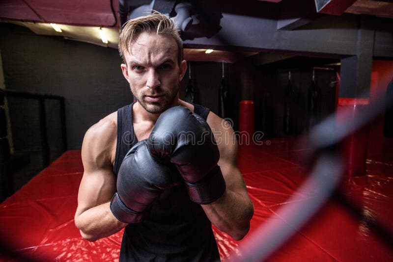 Attentive Boxing Man Looking at the Camera Stock Photo - Image of ...
