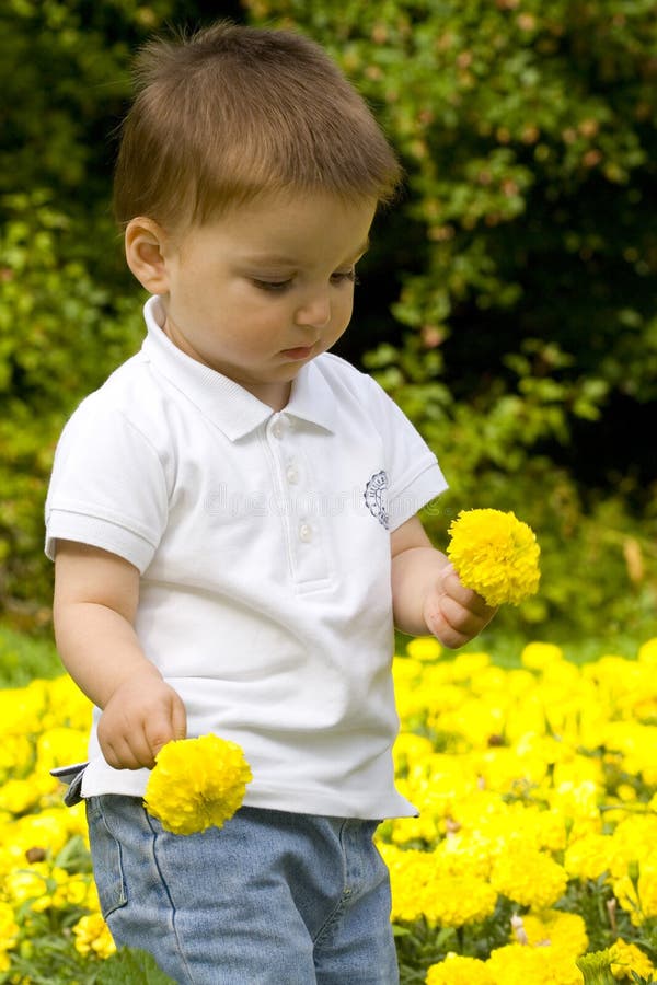 Attentive child stock image. Image of look, flowers, childhood - 10894861