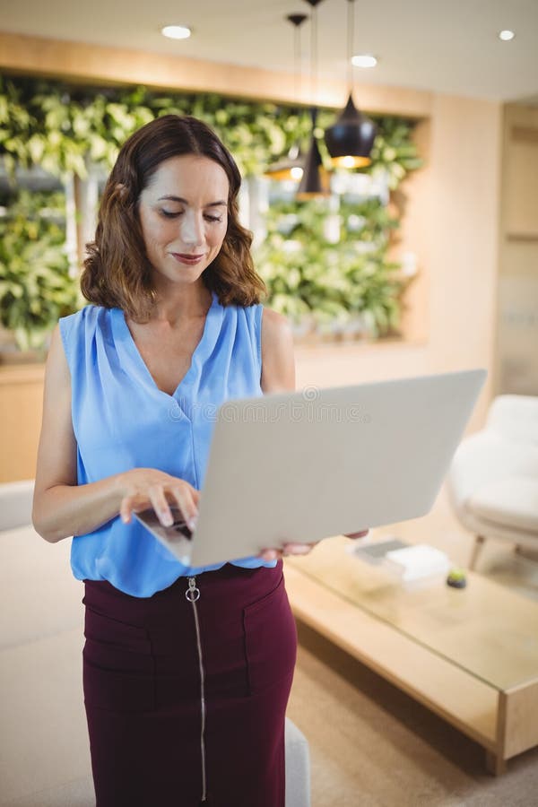 Attentive Executive Using Laptop at Desk Stock Image - Image of ...