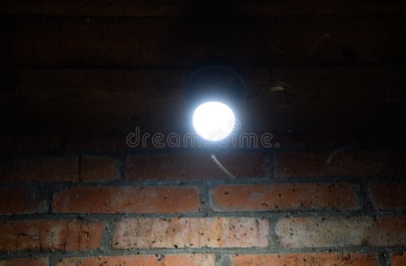 266 Street Light Insects Stock Photos - Free & Royalty-Free Stock ...