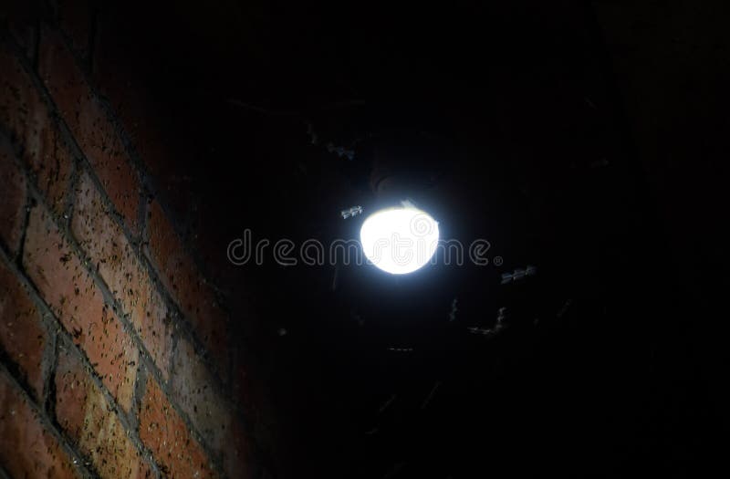 Attraction of Insects Light. Night Insects at a Bulb Stock Photo ...