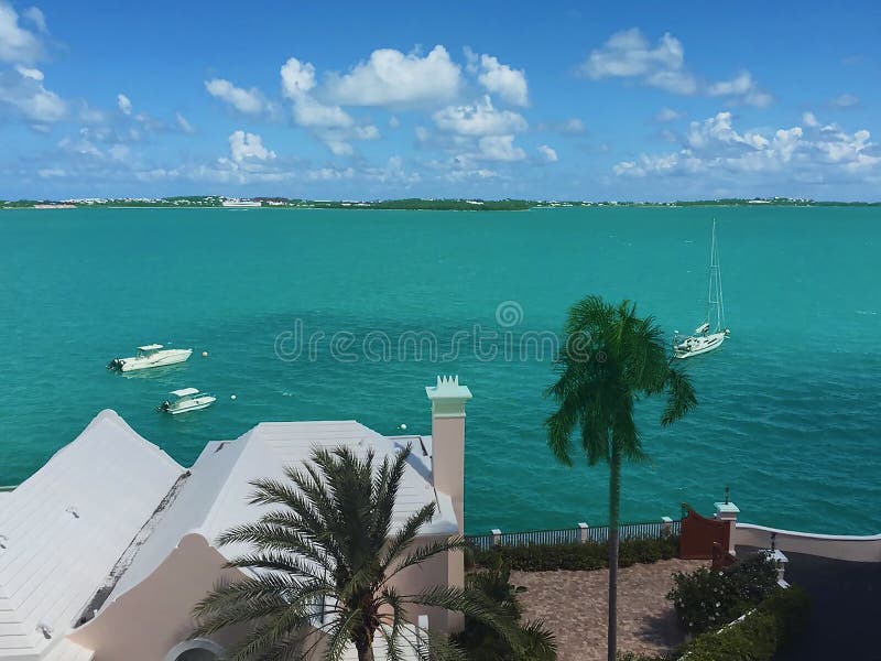 148 Bermuda Forest Stock Photos - Free & Royalty-Free Stock Photos from ...