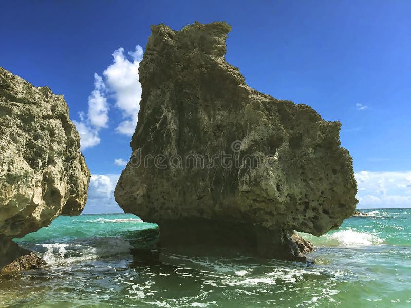 Attractions in Bermuda stock image. Image of attractions - 142505273