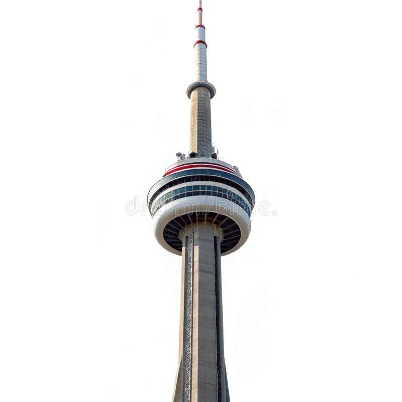 Attractive CN Tower on White Background Stock Illustration ...