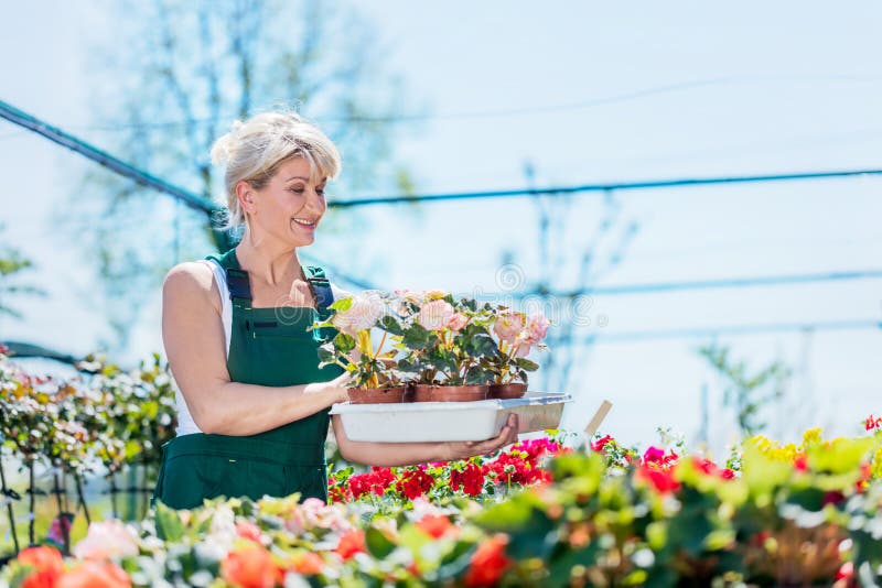 Attractive Gardener Selecting Flowers in a Gardening Center. Stock ...