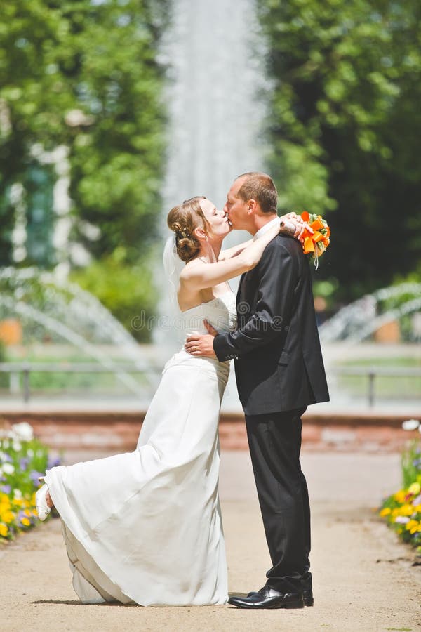 Attractive Groom and Bride Kiss Stock Image - Image of groom, married ...