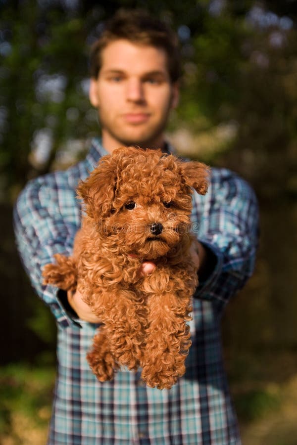 Attractive Guy Holding Cute Puppy Stock Photo - Image of young ...