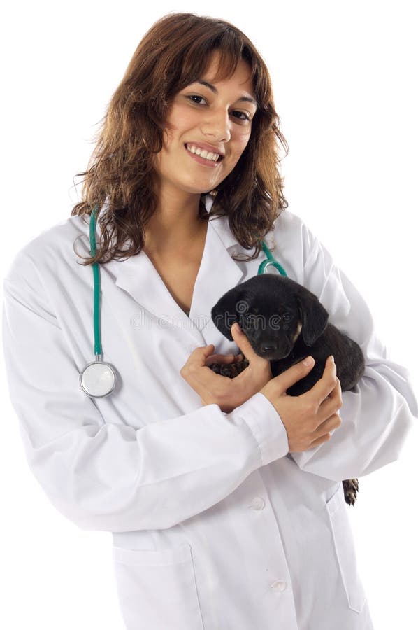 Veterinarian with cat stock image. Image of people, germs - 3968457