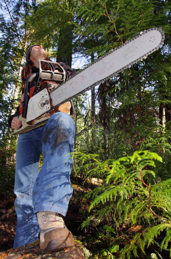 Beautiful Logger stock photo. Image of woman, industry - 11701016