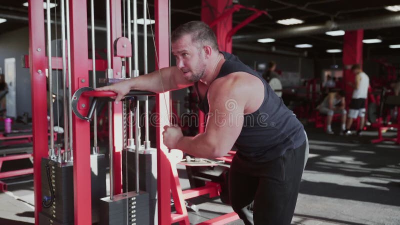 An Attractive Man Bodybuilder Doing Exercises for the Muscles of the ...