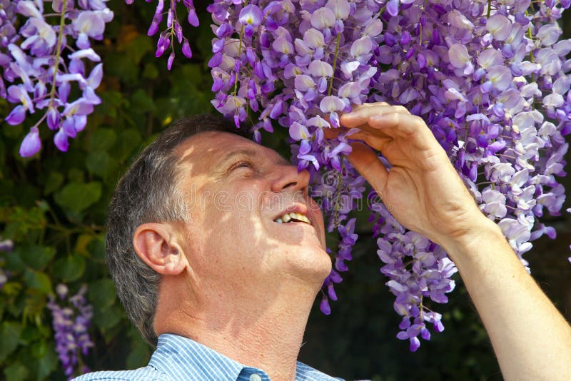 Attractive Man is Smelling Park Stock Image - Image of caucasian ...