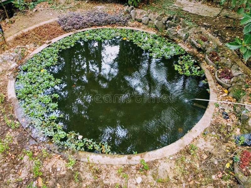 An attractive Mirror Pond stock photo. Image of pond - 154150284