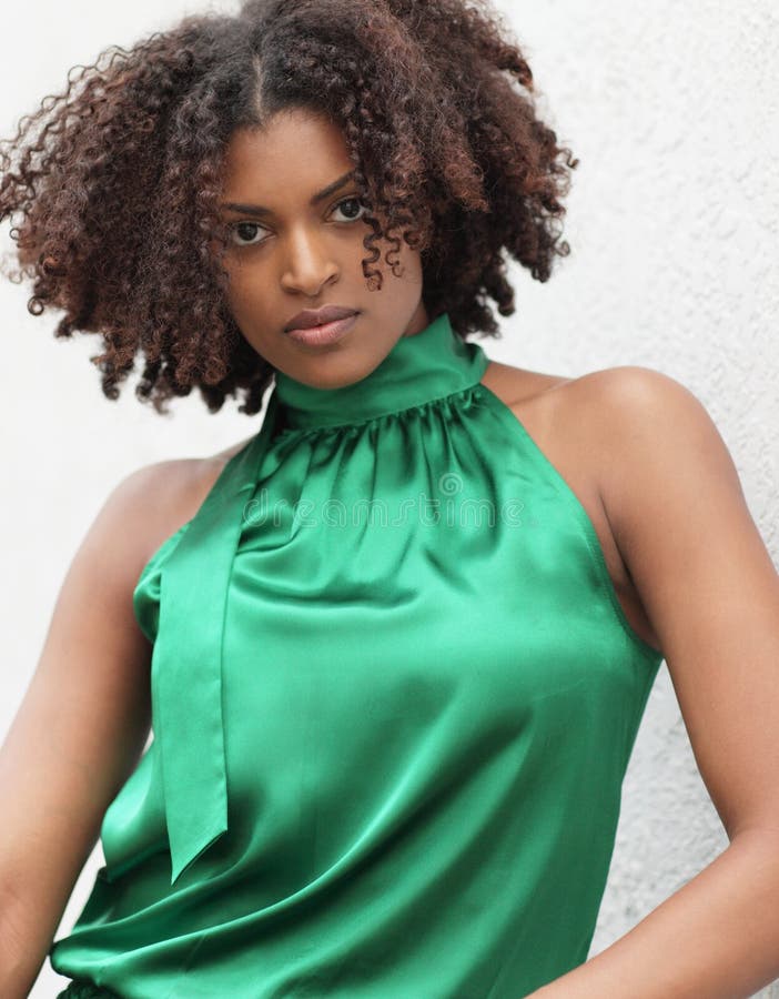 Attractive Mixed Race Model Stock Image - Image of ethnic, outdoors ...