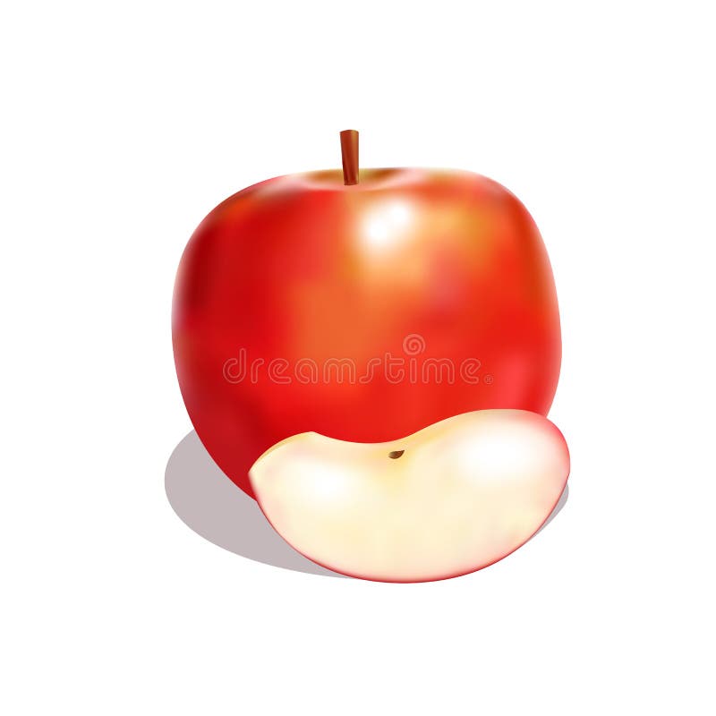 The Attractive Red Apple with Shadow Stock Vector - Illustration of ...