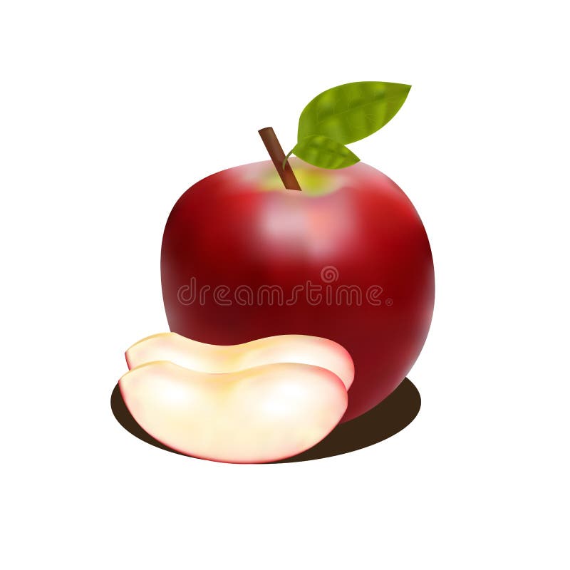 The Attractive Red Apple with Shadow Stock Vector - Illustration of ...