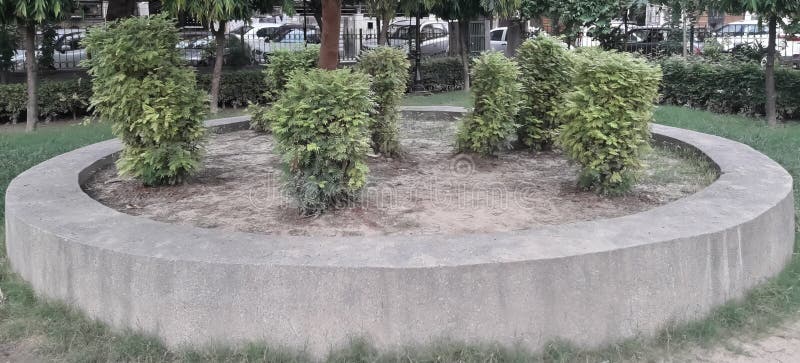 Attractive Small Plants Growing Inside a Circular Structure in Park ...