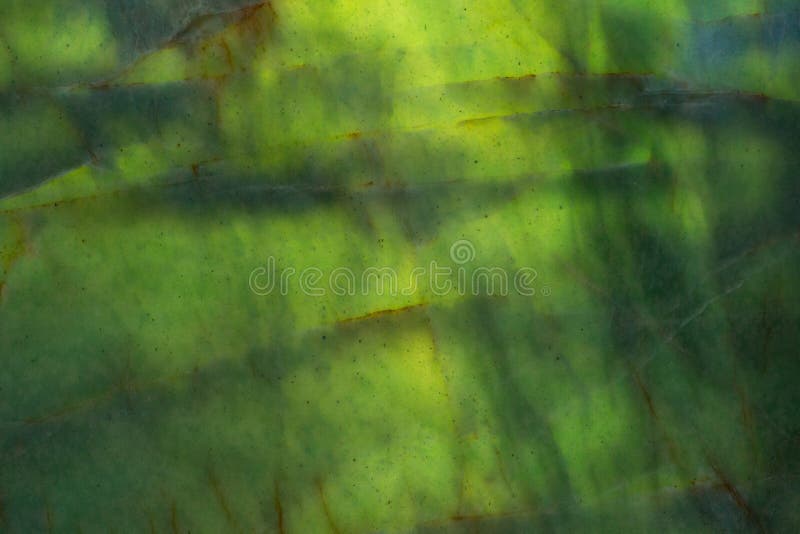 Attractive Stylish Texture in New Green Tone. Stock Image - Image of ...