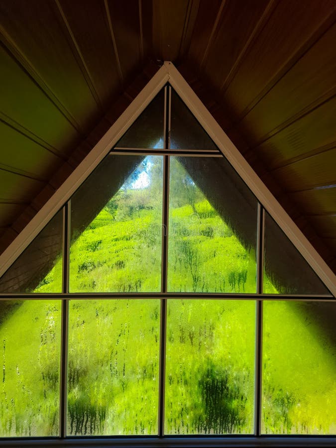 Attractive Triangular Window in Early Morning with Greenish Tea Field ...