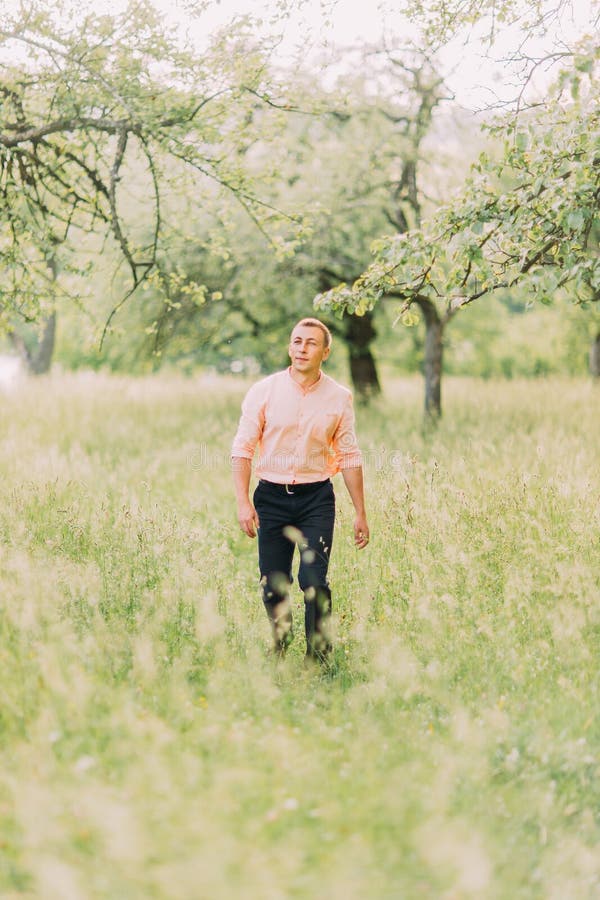 Attractive Young Man in Peach Shirt Walking Alone through Spring Forest ...
