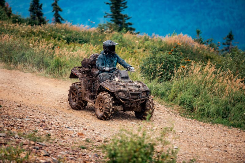 ATV Bike Rides through Forest Off-road in Trip Summer Stock Image ...