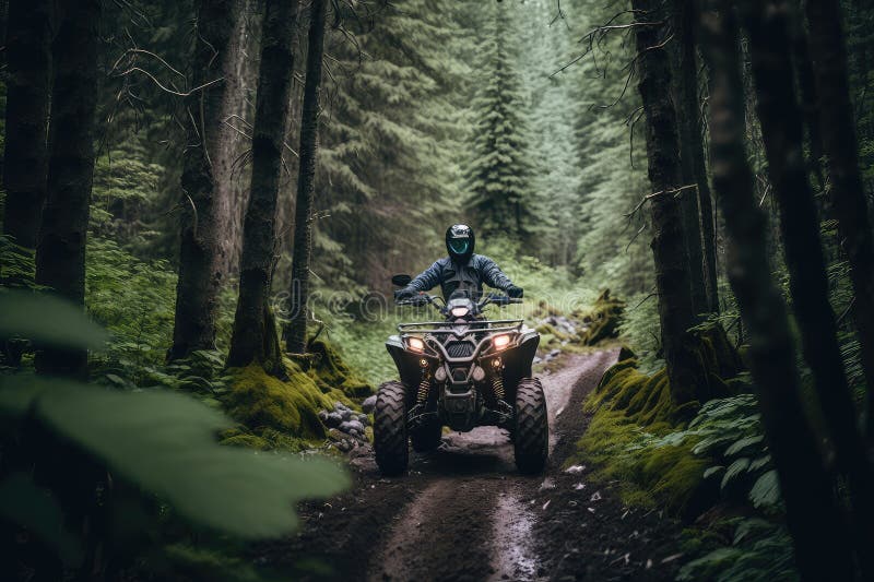 Atv Trail Riding Stock Illustrations – 56 Atv Trail Riding Stock ...