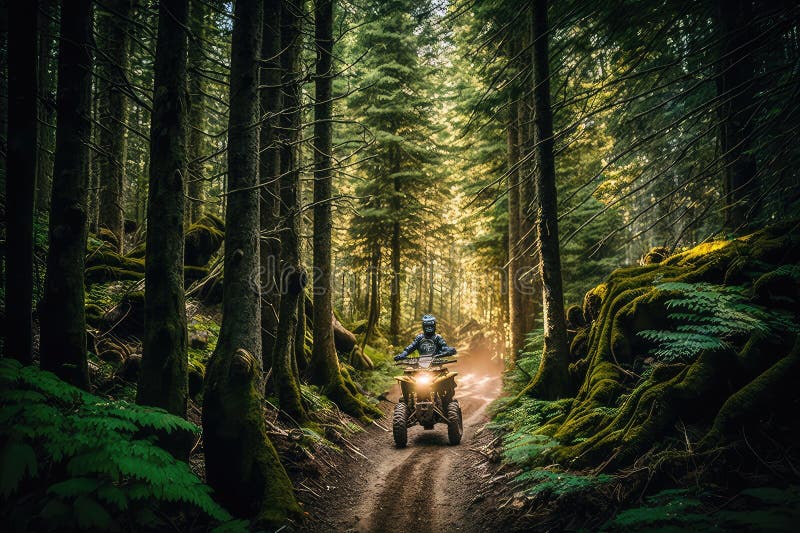 Atv Trail Riding Stock Illustrations – 56 Atv Trail Riding Stock ...