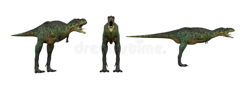 Aucasaurus. Dinosaur Isolate on White Stock Illustration - Illustration ...