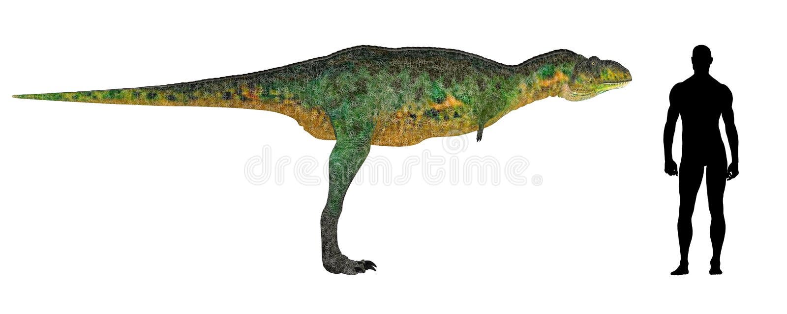 Gigantoraptor Size Comparison Stock Illustration - Illustration of ...