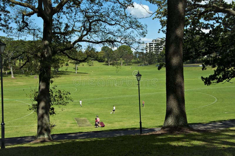 Auckland Domain stock image. Image of field, rest, zealand - 24589457