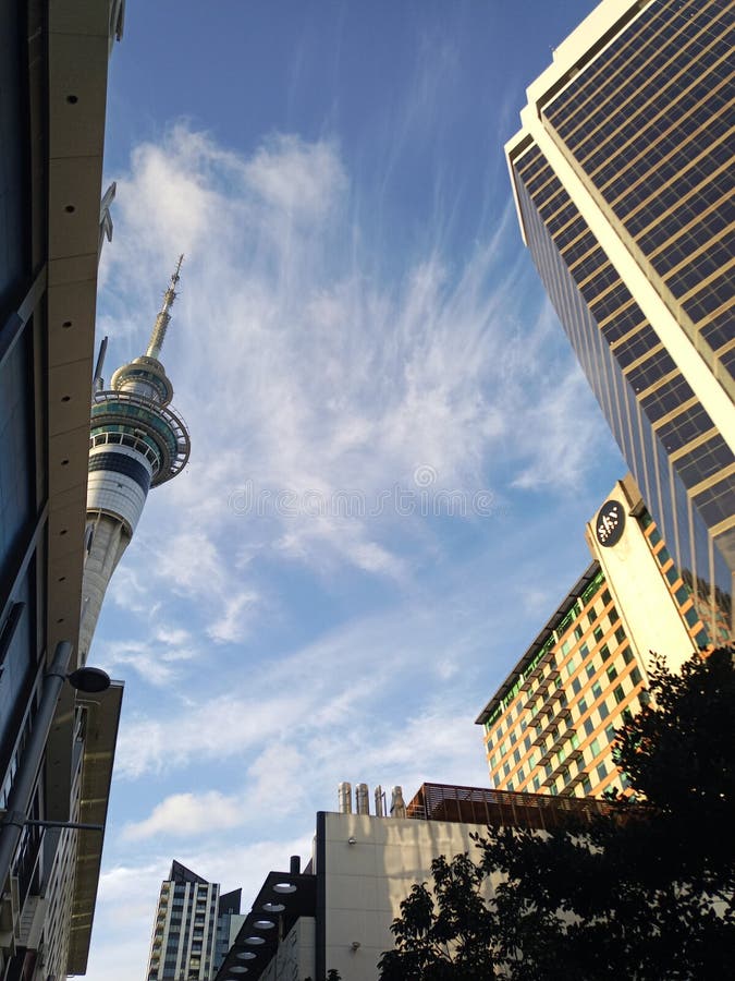 Auckland Sky Tower editorial stock photo. Image of tower - 287462958