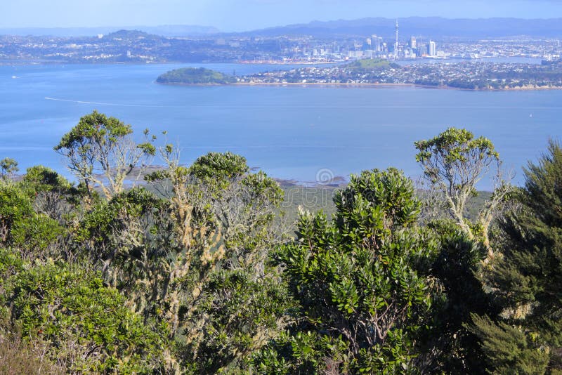 Auckland-Stadtskyline Von Rangitoto-Insel Neuseeland Stockfoto - Bild ...