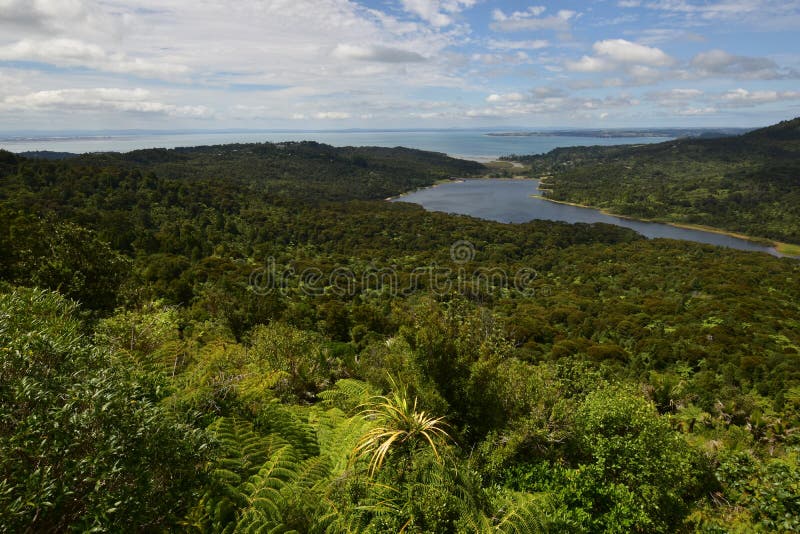 View at Waitakere Ranges Coast Cliffs in West Auckland Stock Image ...