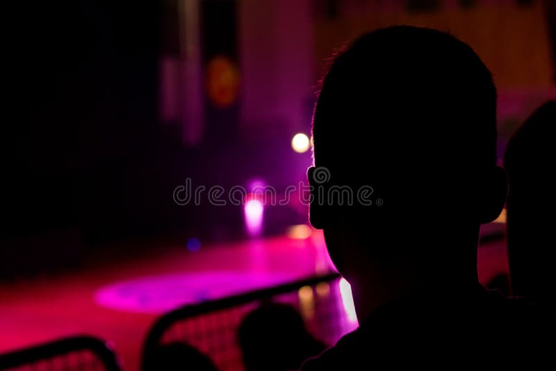 Audience at a show. stock image. Image of show, delight - 64638705