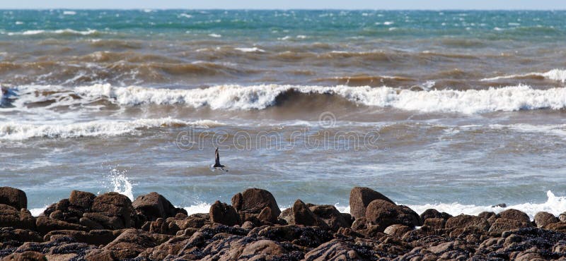 Audierne bay in Britanny stock image. Image of brittany - 30134731