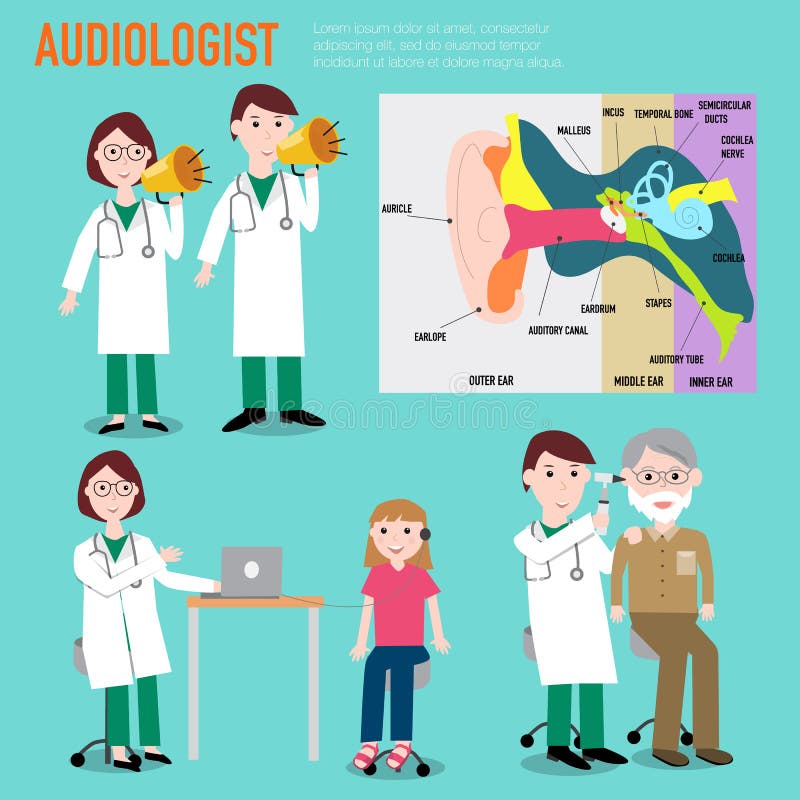 Audiologist , Audiology , Anatomy of Ear Vector Infographic Stock ...