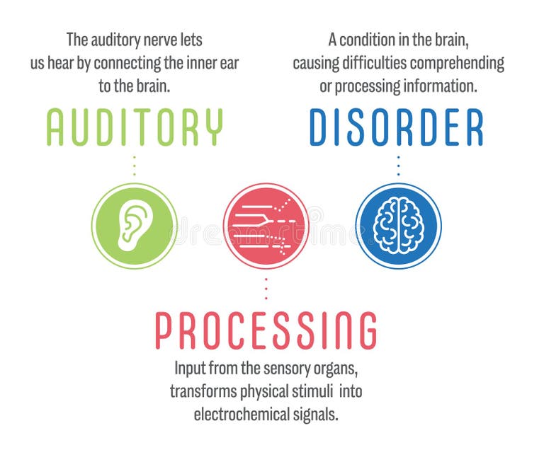 Auditory Processing Stock Illustrations – 242 Auditory Processing Stock ...