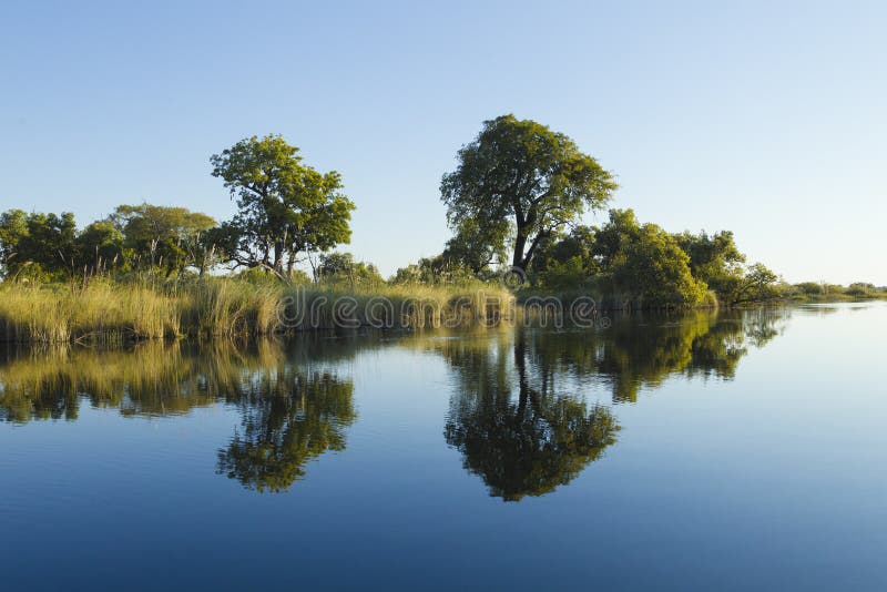 Auf dem Okavango-Fluss stockbild. Bild von szenisch, afrika - 97005061