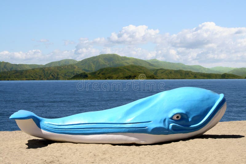 6,593 Wal Strand Stock Fotos - Freie & Royalty-Free Stock Fotos von ...