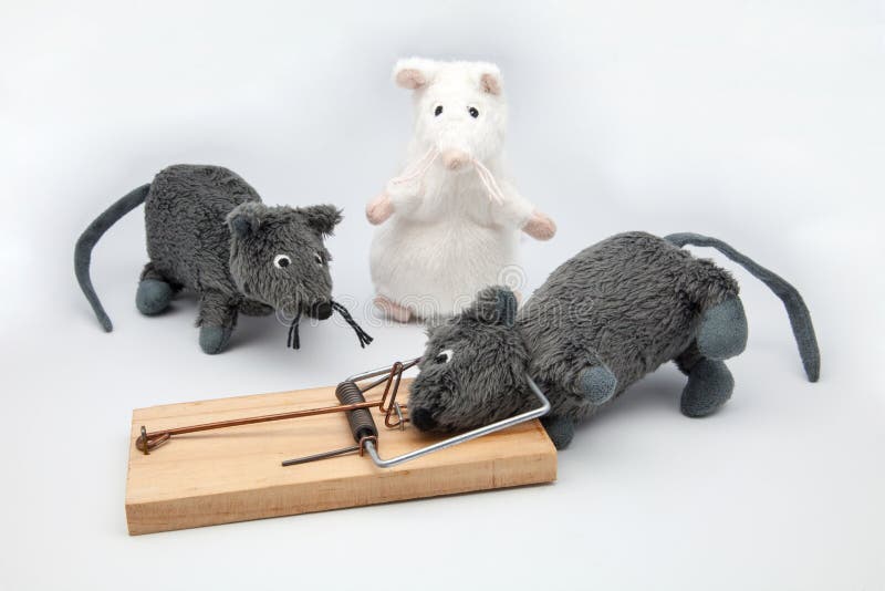 Aufgefangene Maus stockfoto. Bild von plage, puppe, nagetier - 33738838