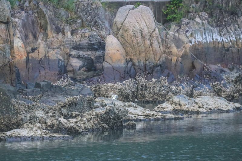 Aug 15 2023 the Landscape of Tiu Keng Leng Pier, Hk Editorial Photo ...
