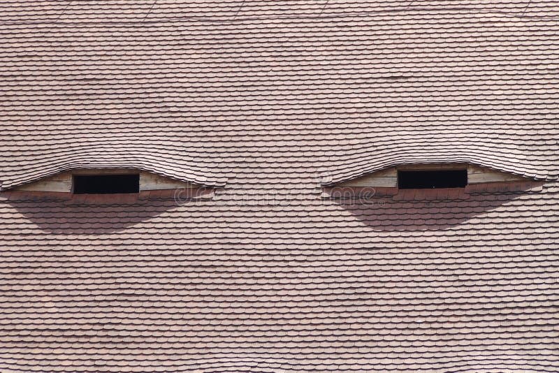 Augen des Dachs stockfoto. Bild von augen, kultur, grenzstein - 6144490