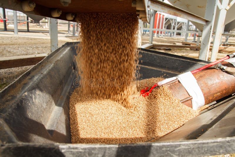 Auguring Stock Photos - Free & Royalty-Free Stock Photos from Dreamstime