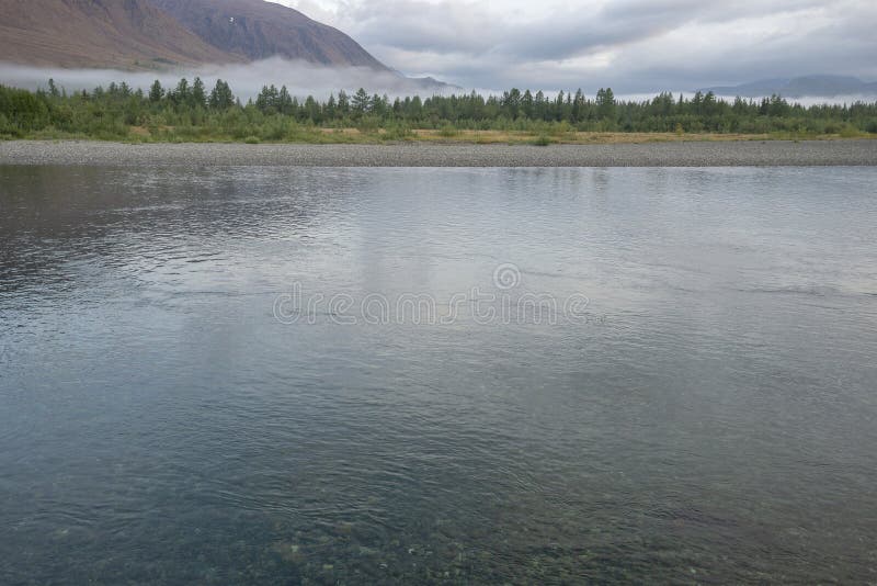 August Morning on the Sob River. Polar Ural, Russia Stock Photo - Image ...