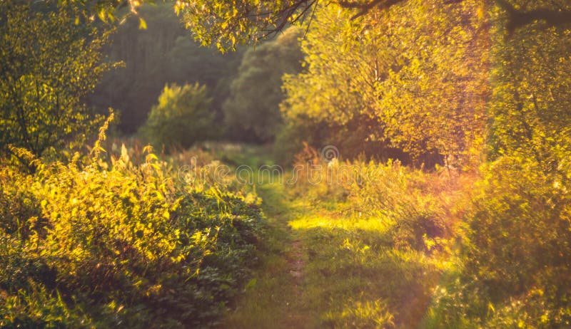 27,435 Fresh August Stock Photos - Free & Royalty-Free Stock Photos ...