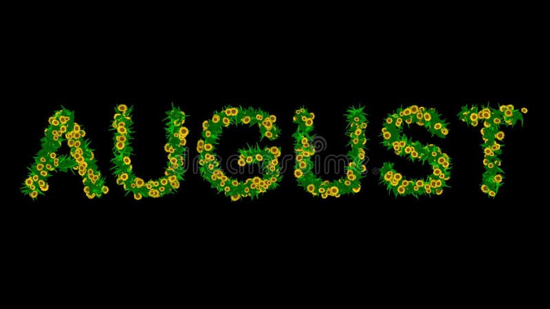 August Text with Green Leaves and Yellow Daisy Flowers on Plain Black ...