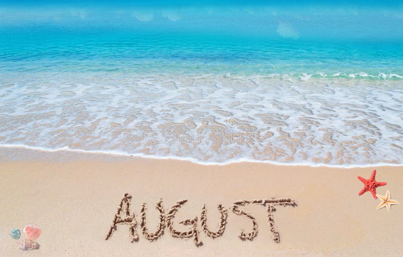 August on a tropical beach stock photo. Image of shell - 229195274