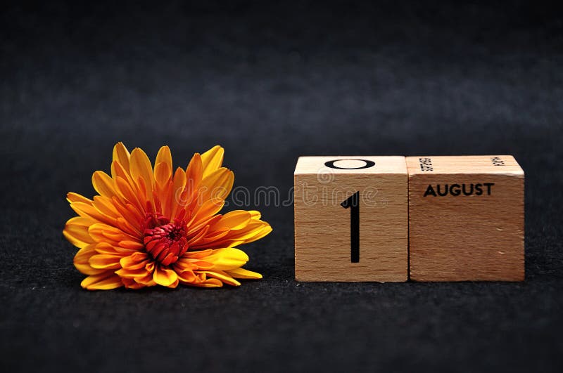 1 August on Wooden Blocks with an Orange Daisy Stock Photo - Image of ...